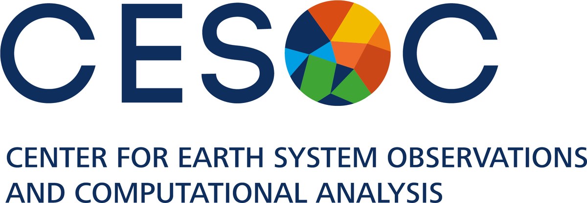 CESOC Seminarreihe "My research"