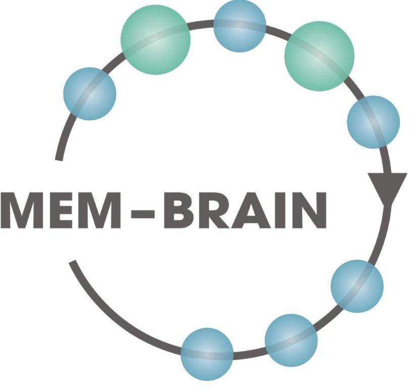 MEM_BRAIN_Logo_03.poster.jpeg