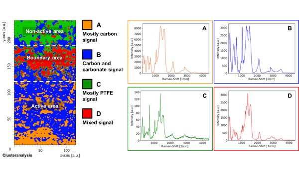 Raman Spectroscopy