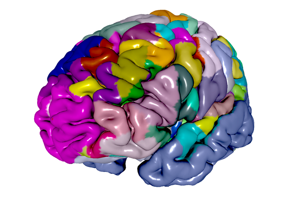 New release of the Julich-Brain Atlas adds 52 new maps