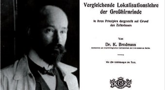Aktuelles_Centenary%20of%20Brodmanns%20map%20%E2%80%94%20conception ...