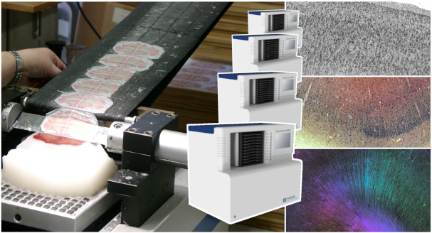 High throughput microscopy