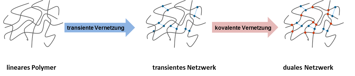 Polymerchemie