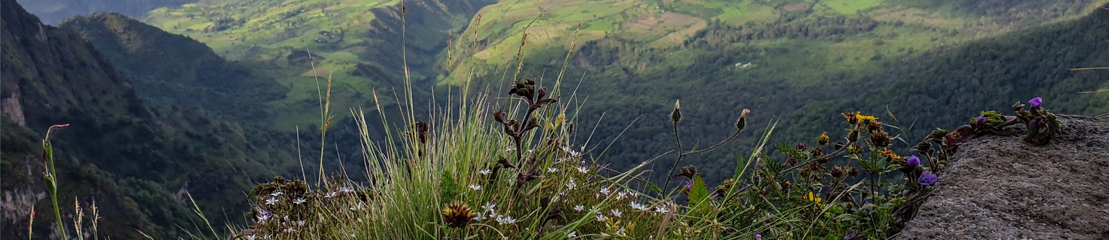 Klos, Kocher und Kompost