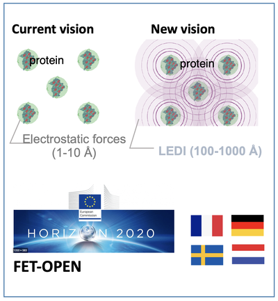 Long-range Electrodynamic Interactions between proteins (LINkS)