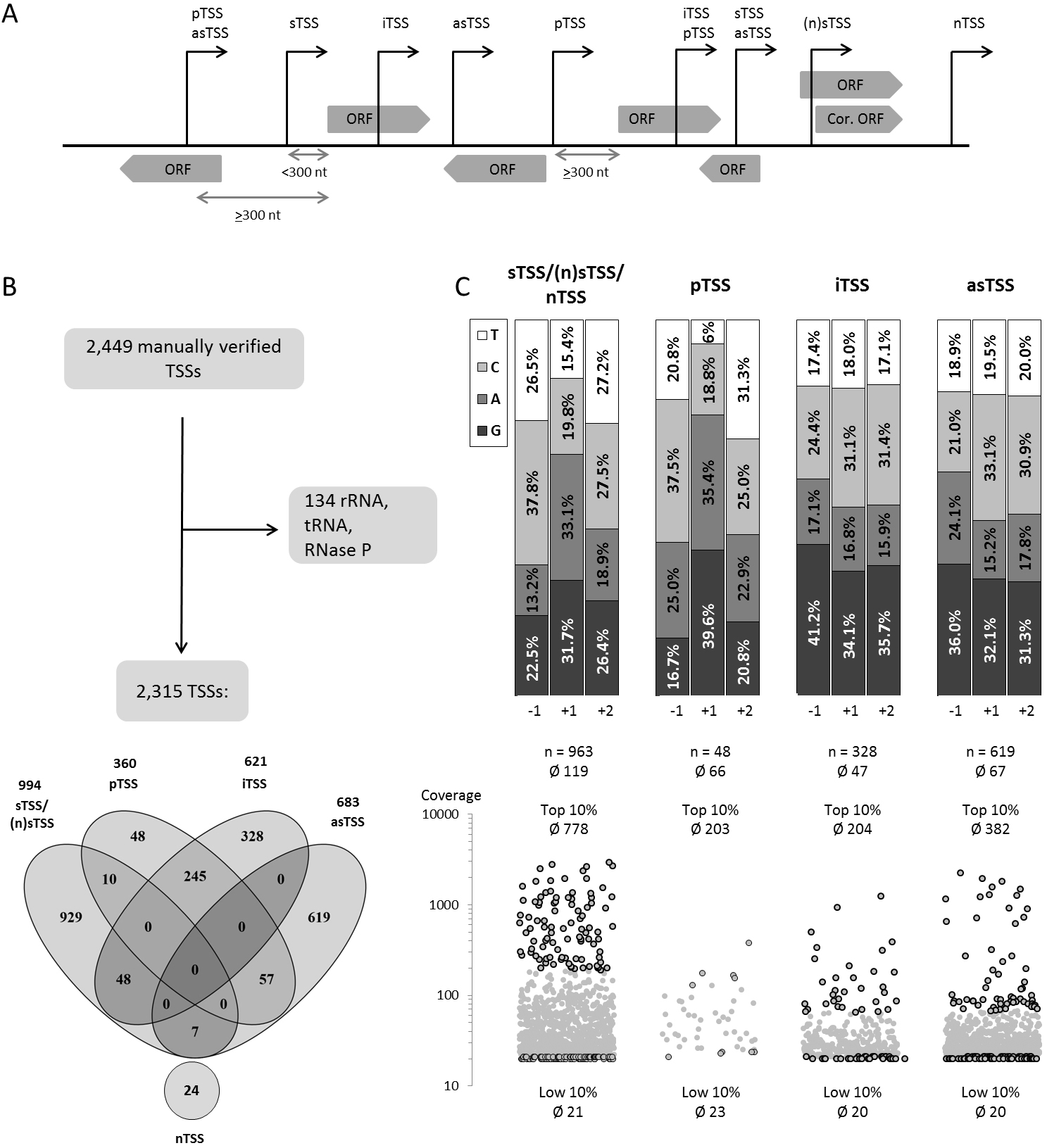 Gluconobacter oxydans