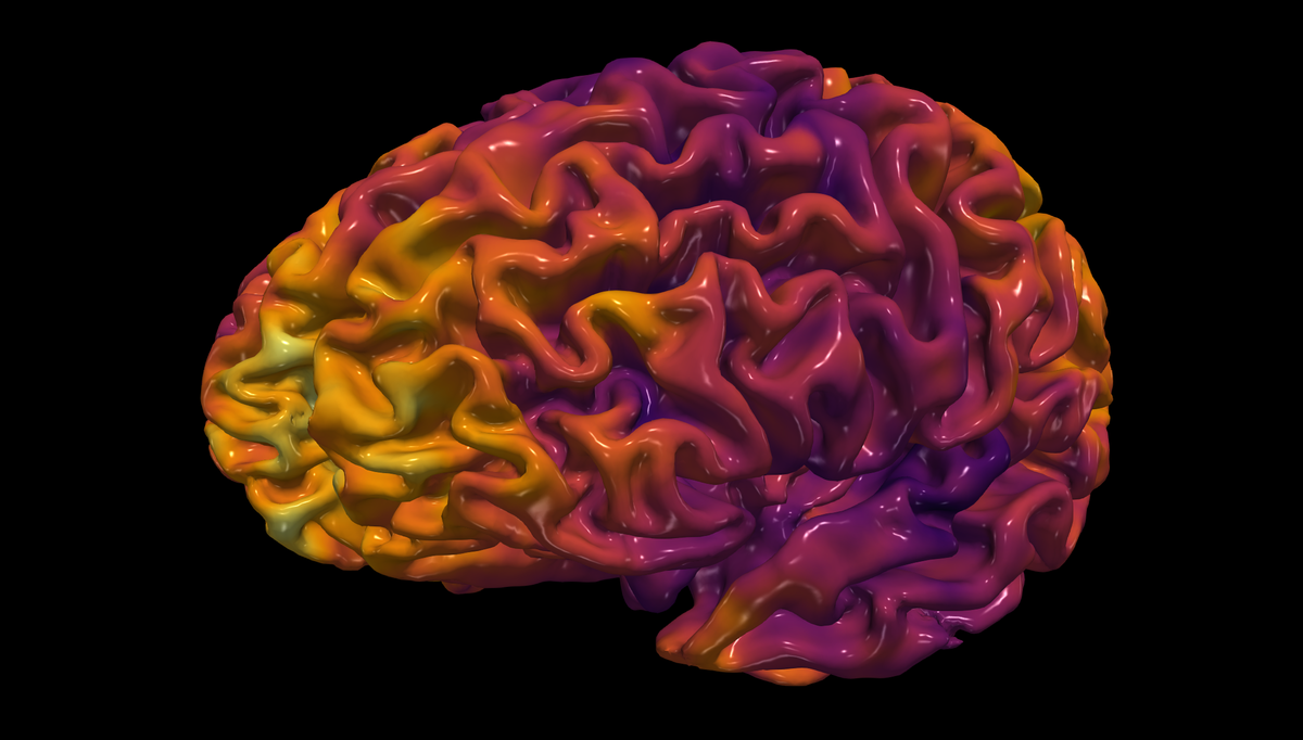 Large-scale Artificial Intelligence for Brain Mapping