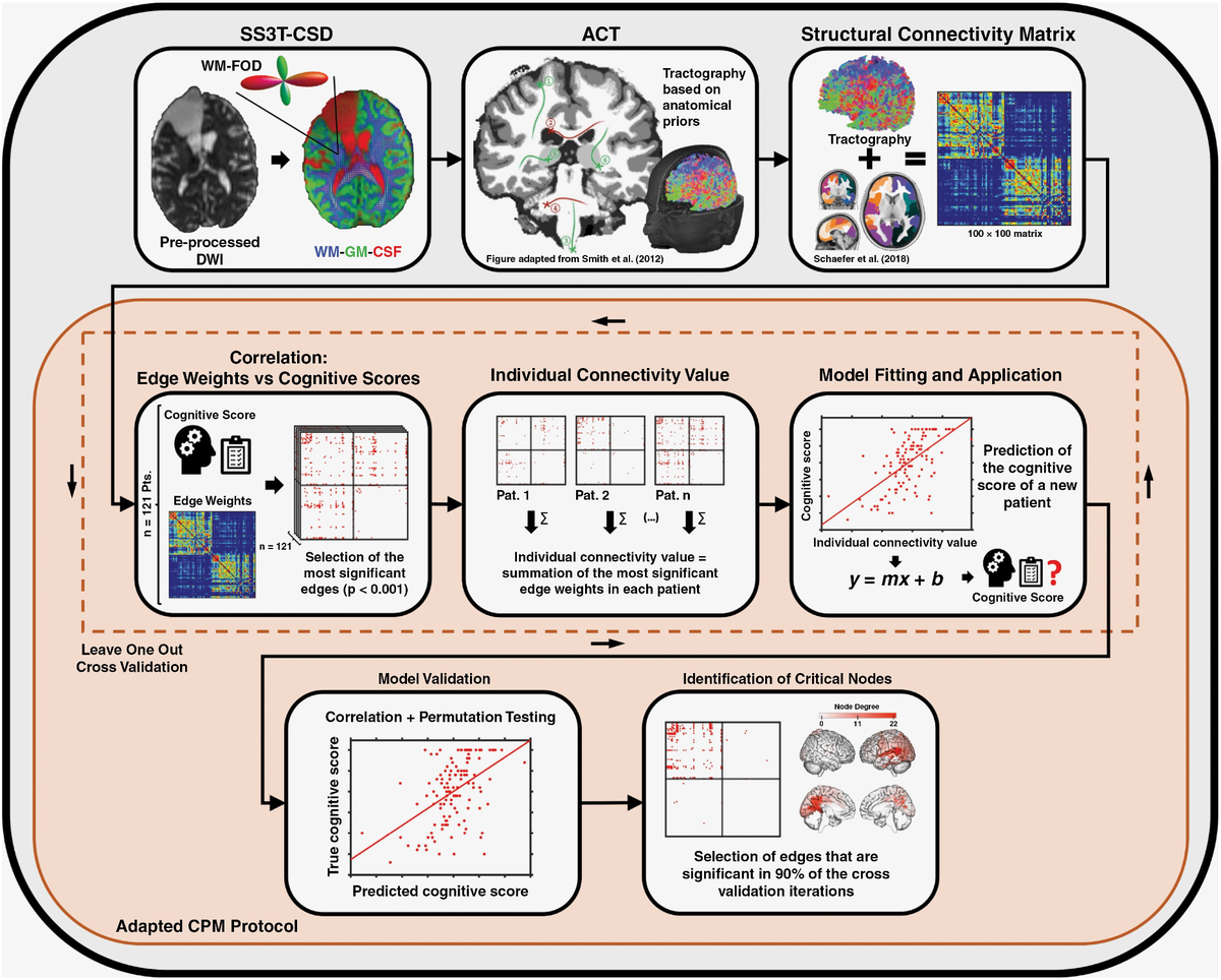 Structural Connectome Based Predictive Modeling Of Cognitive Deficits