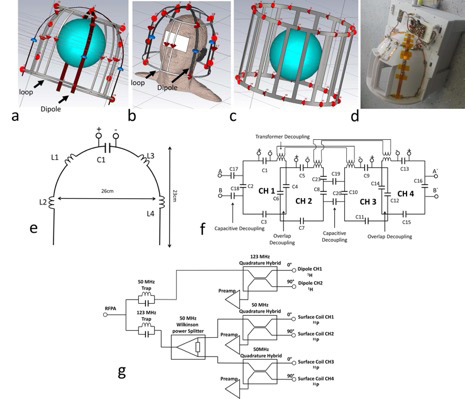 Novel multi-tuned RF coil/antenna designs