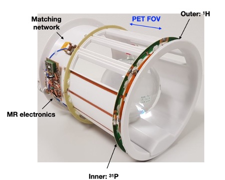 Design and construction of a PET-compatible double-tuned 1H/31P MR head ...