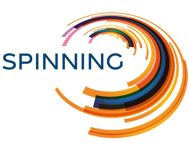 Diamond spin-photon-based quantum computer (Spinning)