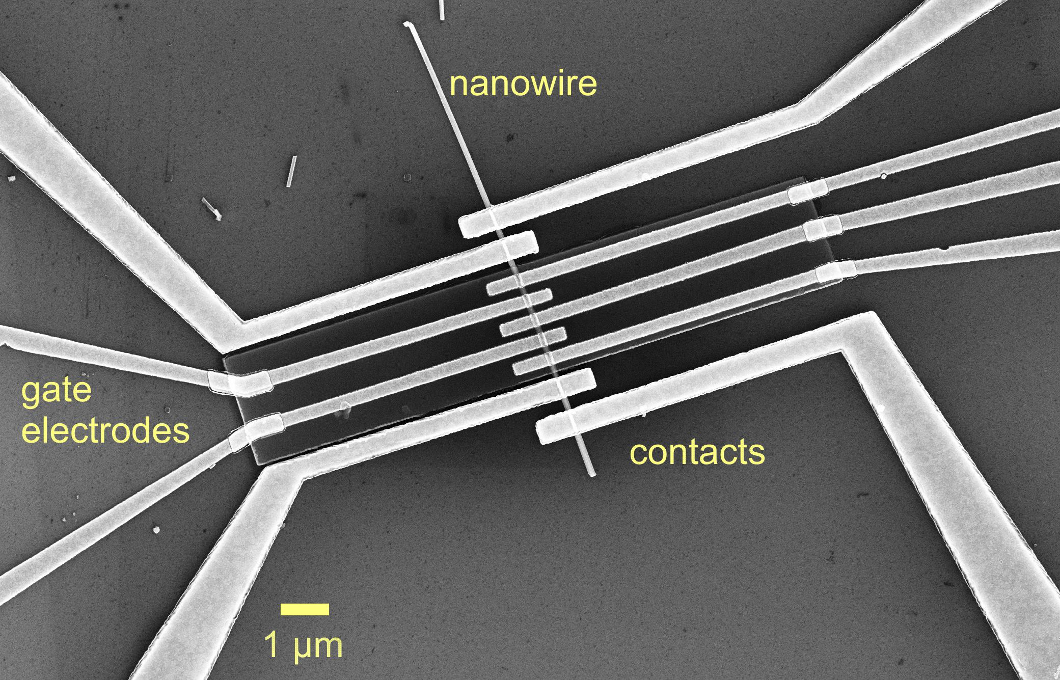 Nanowire-SEM-Gate-Fingers-EN.poster.jpeg